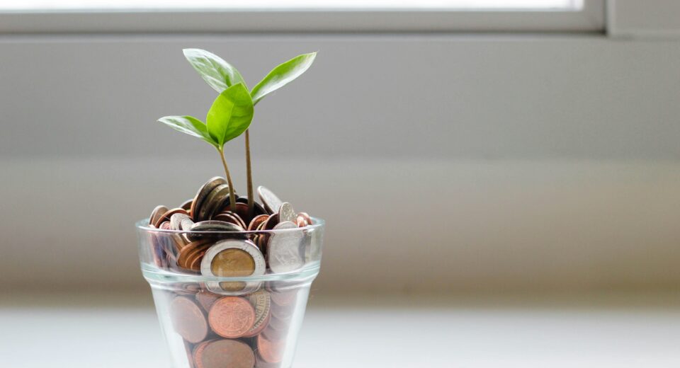 Different types of SACCO investments - Sacco Trend Magazine